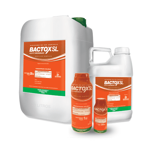 BACTOX SL – Semillas Valle