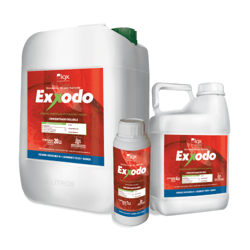 ÉXXODO – Semillas Valle