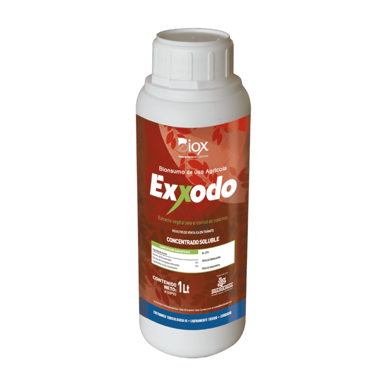 ÉXXODO – Semillas Valle