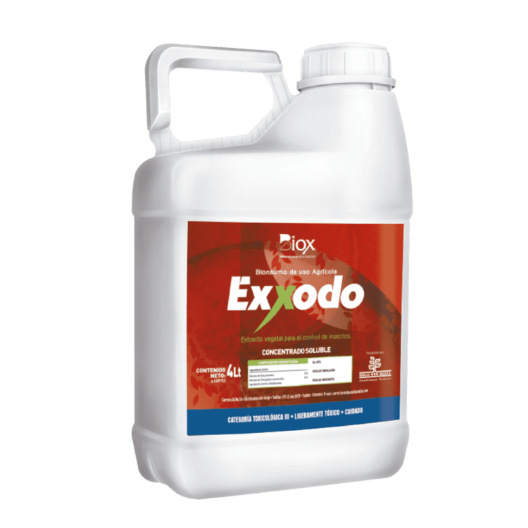 ÉXXODO – Semillas Valle